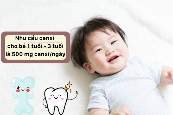 Canxi cho bé 1 tuổi: Nhu cầu, loại canxi, cách uống và cách tăng hấp thu