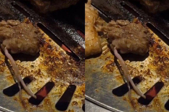 Thịt bò Gogi có sán - Liệu đi ăn sushi có bị sán không?